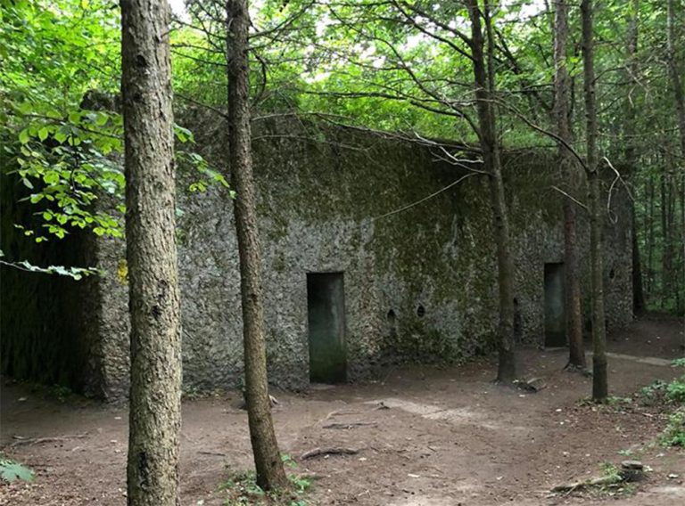 MUZEUM – MAMERKI, Bursztynowa Komnata