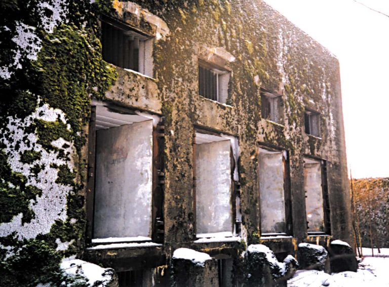 MUZEUM – MAMERKI, Bursztynowa Komnata