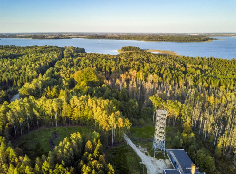 MUZEUM – MAMERKI, Bursztynowa Komnata